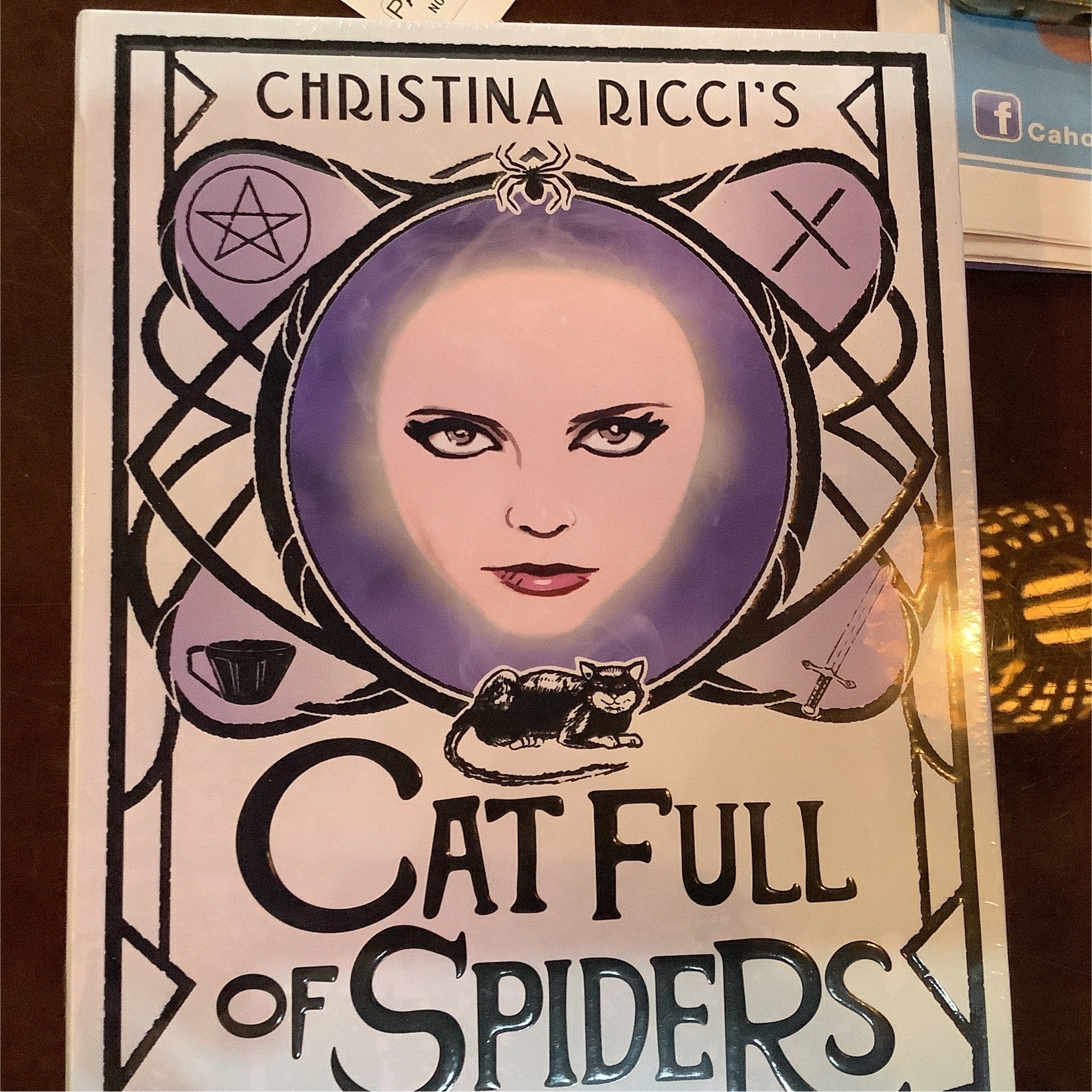 Christina Ricci's Cat Full of Spiders Tarot Deck and Guidebook | My ...